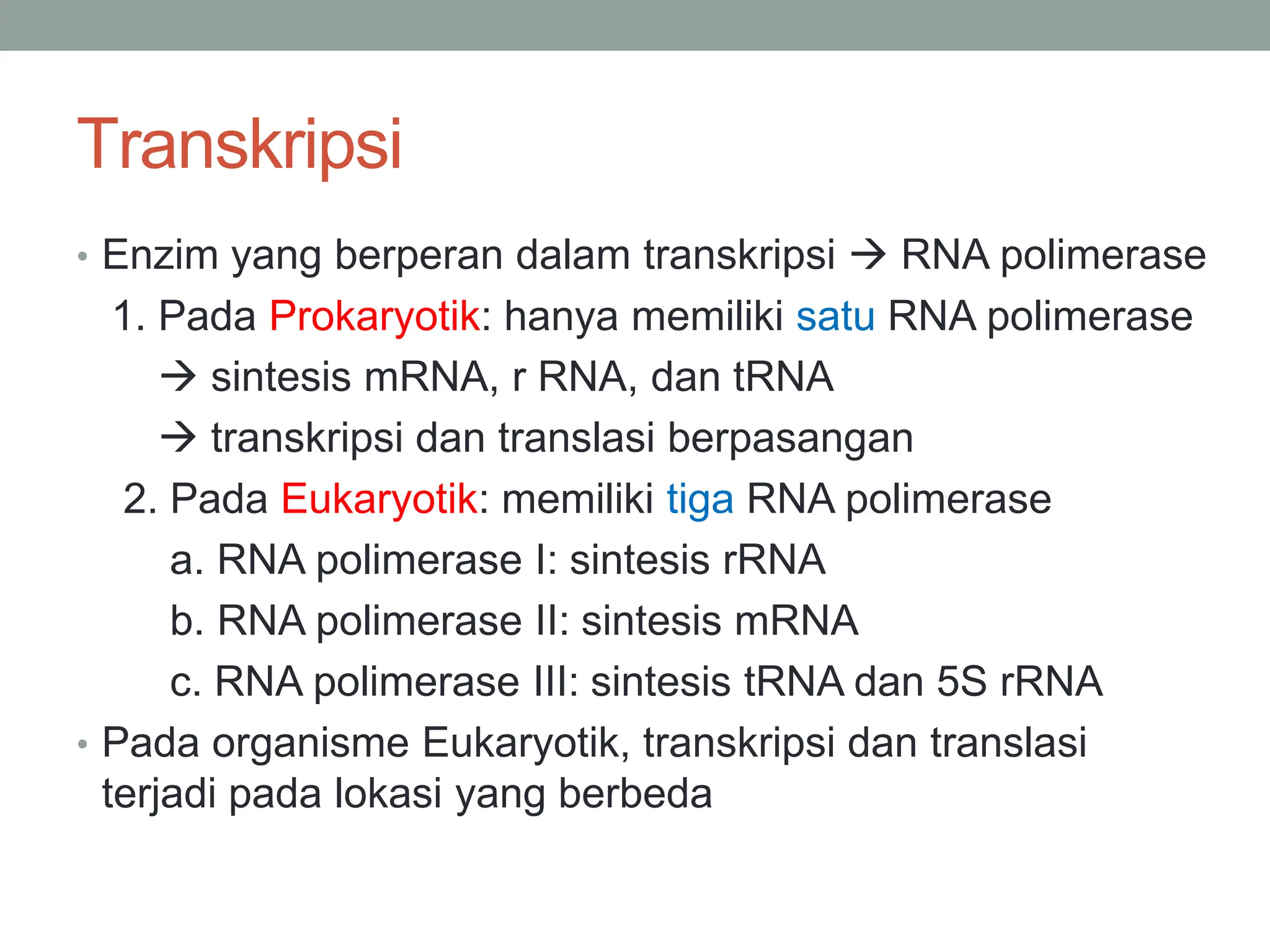 TRANSKRIPSI TRANSLASI DNA OK.pdf