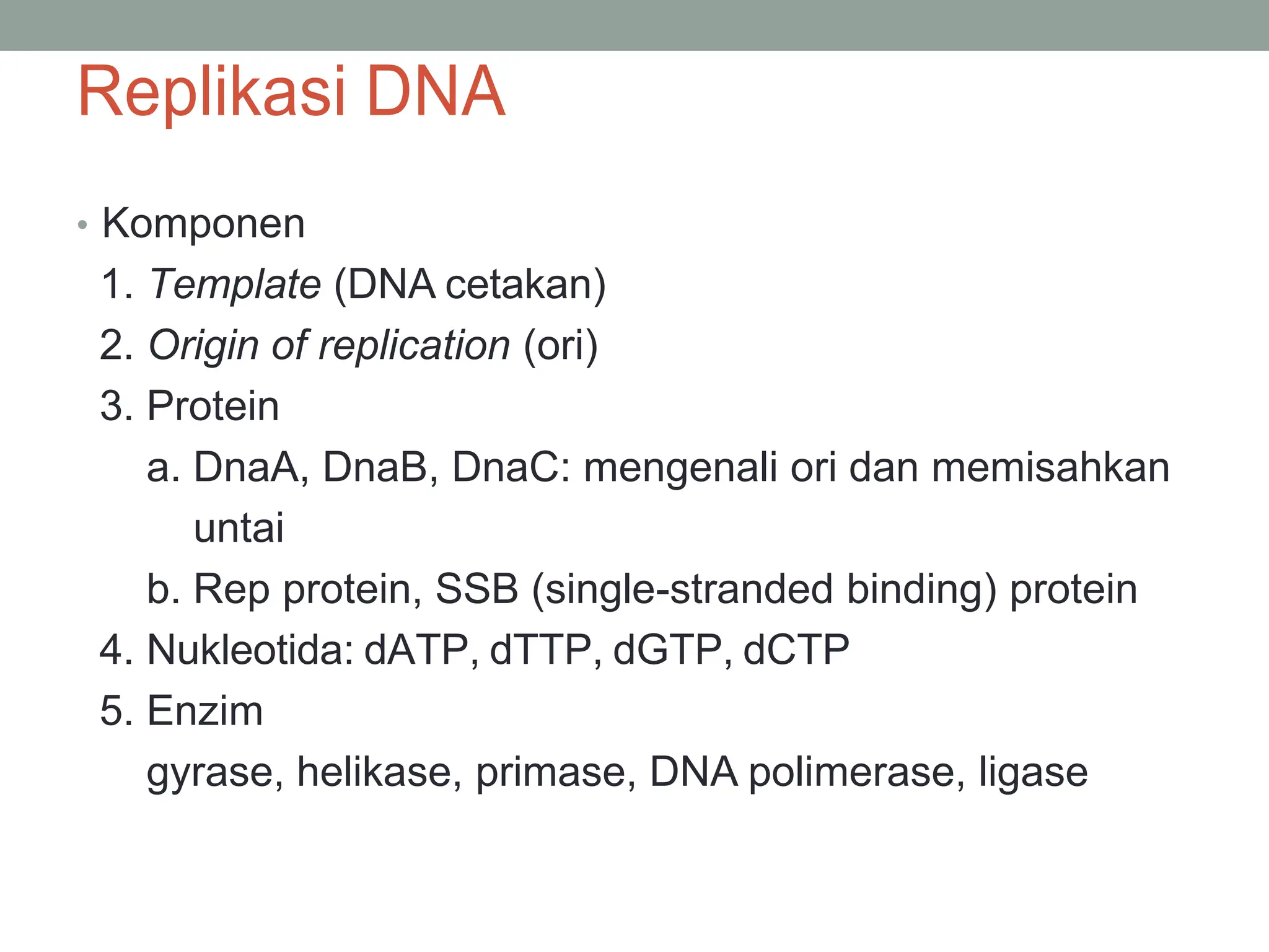 TRANSKRIPSI TRANSLASI DNA OK.pdf