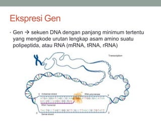 TRANSKRIPSI TRANSLASI DNA OK.pdf