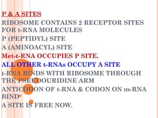 Translation | PPT