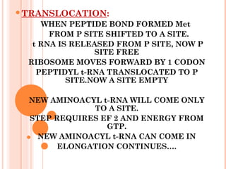 Translation | PPT