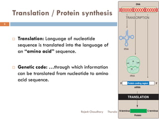 Translation | PDF
