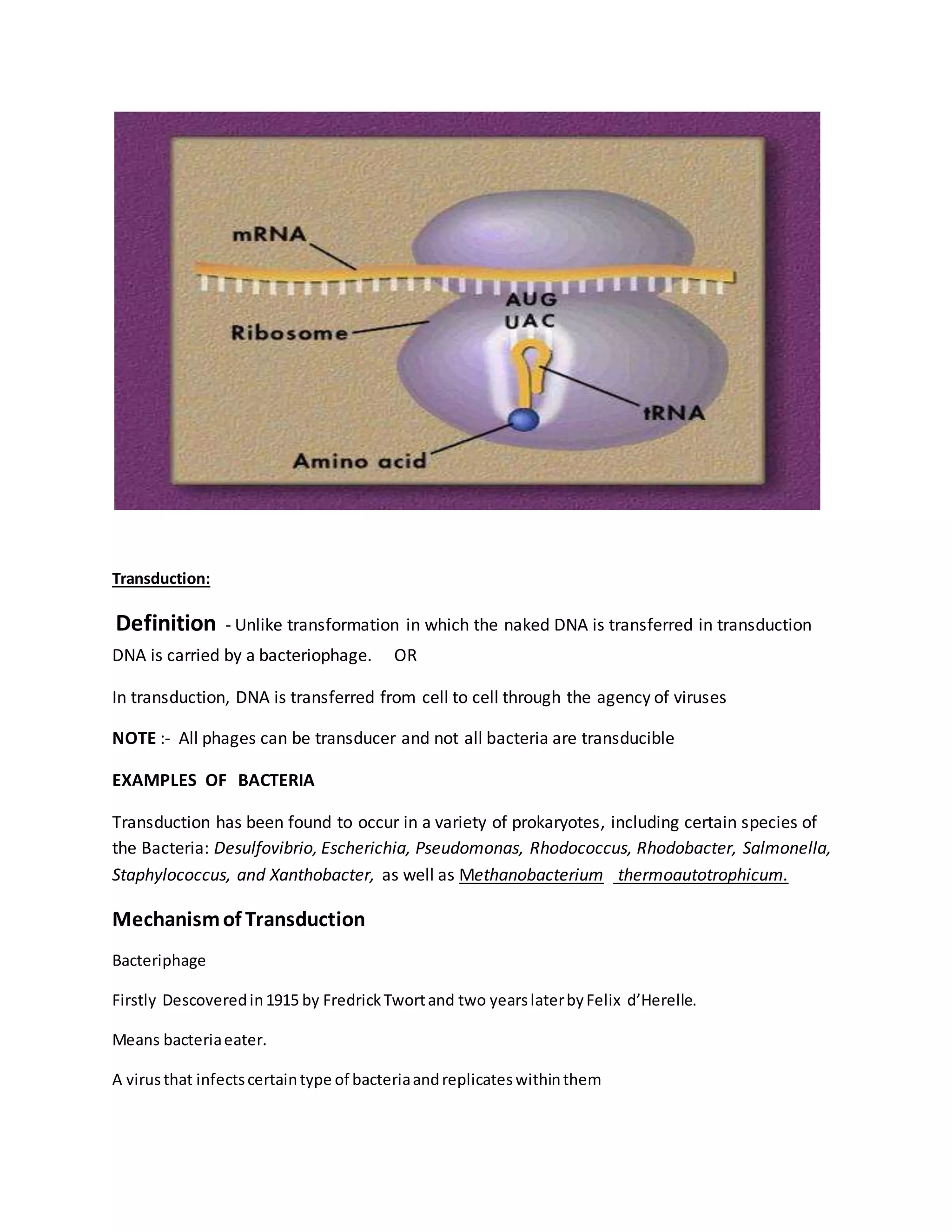 Translation , Transcription and Transduction | DOCX