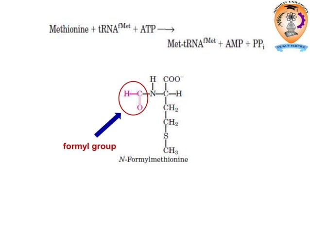 Translation | PPTX | Chemistry | Science