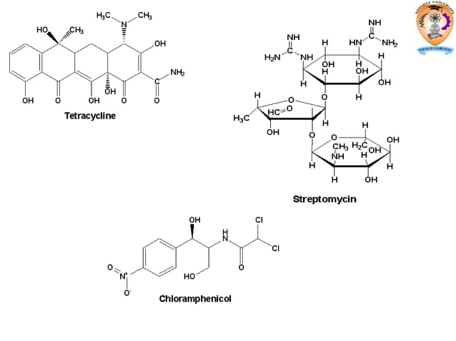 Translation | PPTX | Chemistry | Science