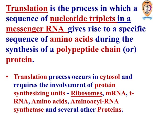 Translation | PPTX | Chemistry | Science