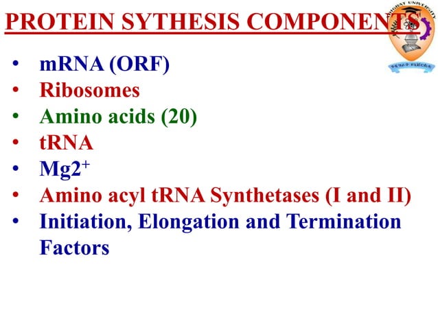 Translation | PPTX | Chemistry | Science
