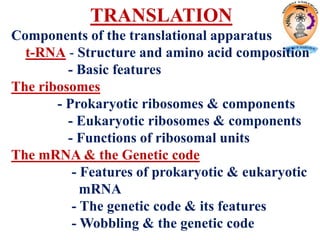Translation Definition Biology