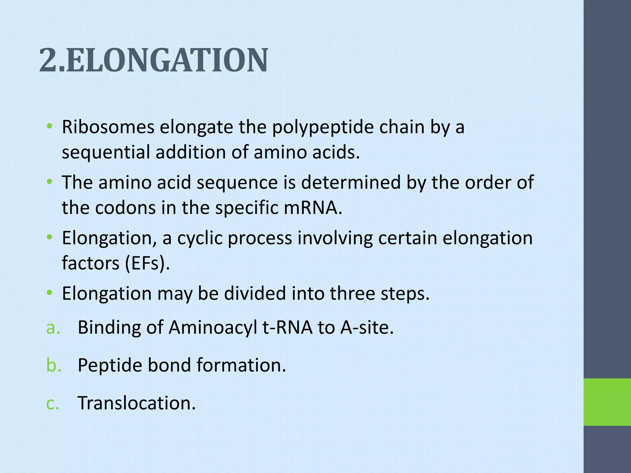 Translation in Eukaryotes. | PPTX