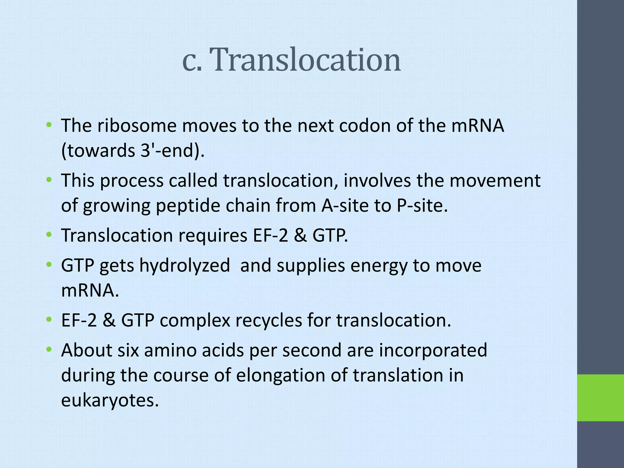 Translation in Eukaryotes. | PPTX
