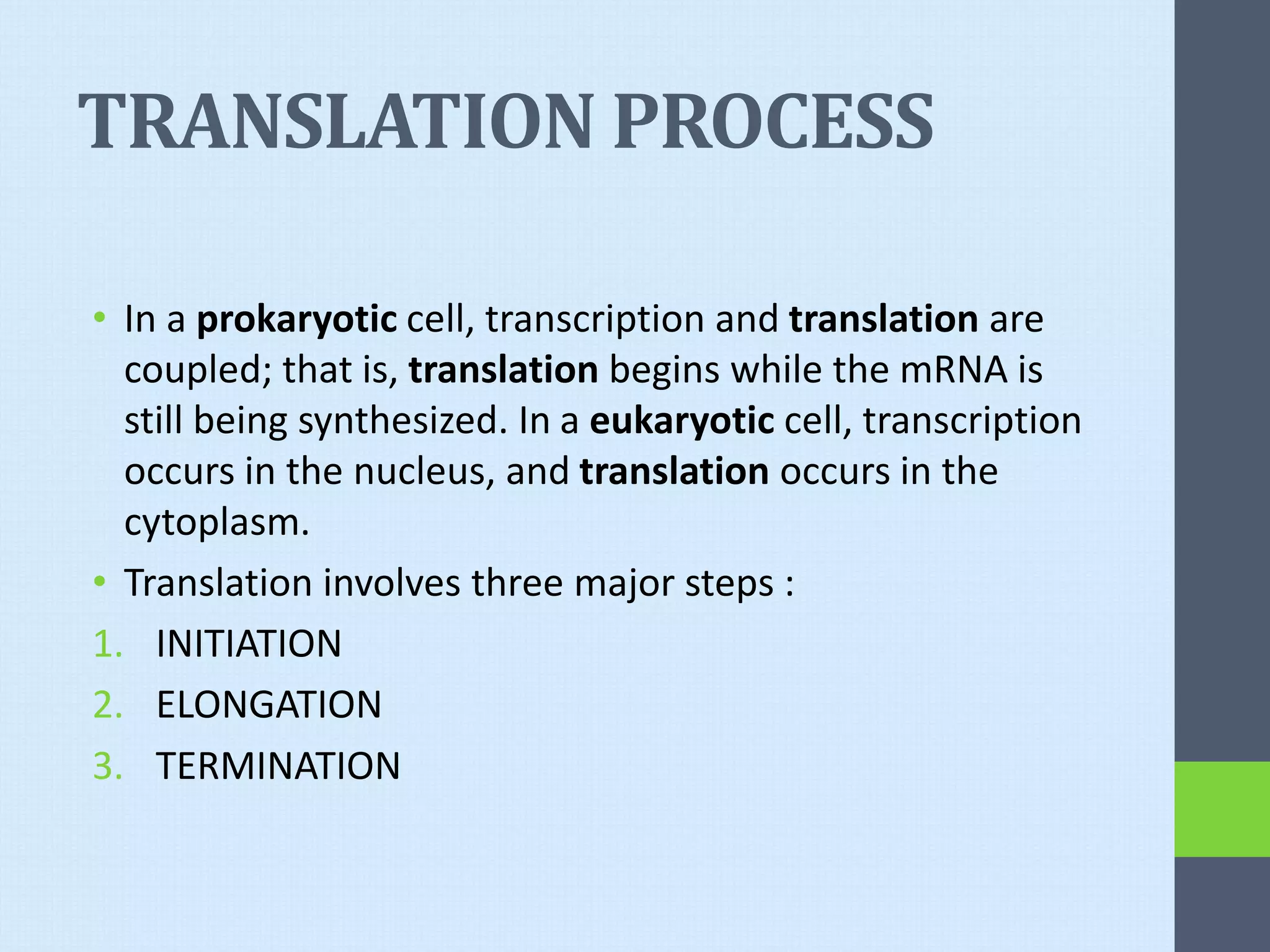 Translation in Eukaryotes. | PPTX