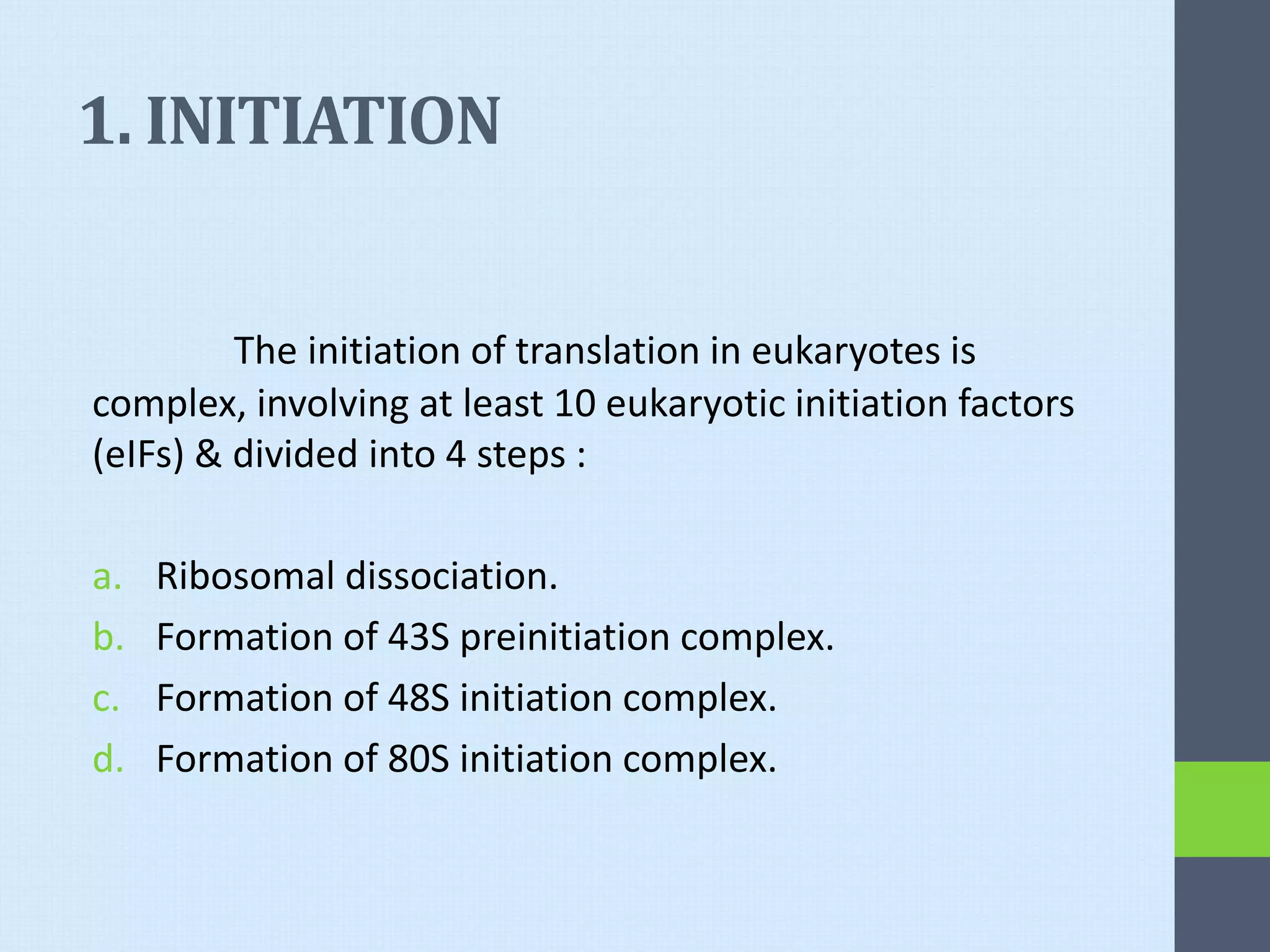 Translation in Eukaryotes. | PPTX