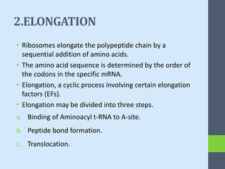 Translation in Eukaryotes. | PPTX