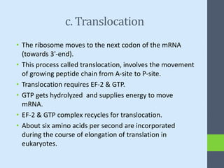 Translation in Eukaryotes. | PPTX