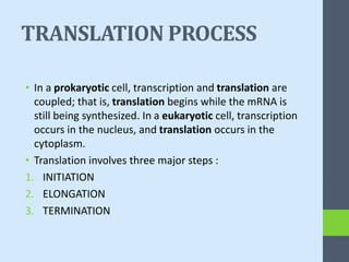 Translation in Eukaryotes. | PPTX