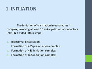 Translation in Eukaryotes. | PPTX