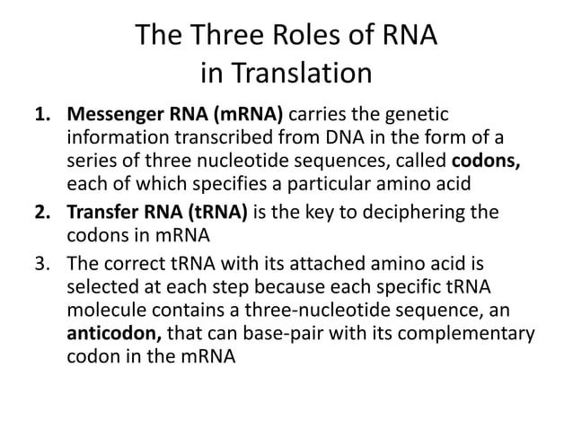 Translation | PPTX | Programming Languages | Computing