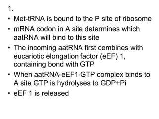 Translation DNA | PPT