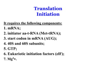 Translation DNA | PPT