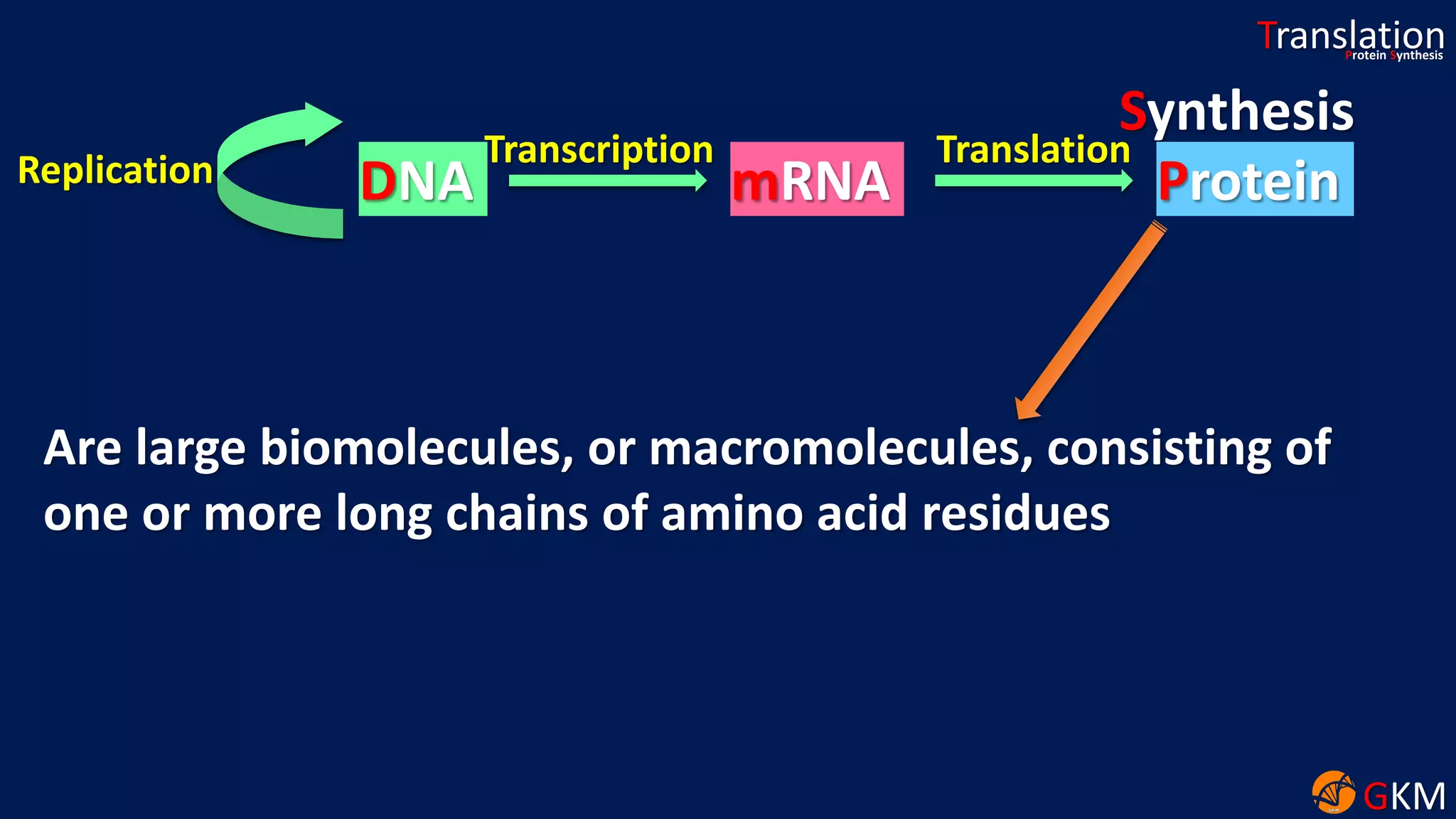 Translation | PPTX | Chemistry | Science