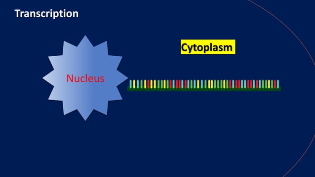 Translation | PPTX | Chemistry | Science