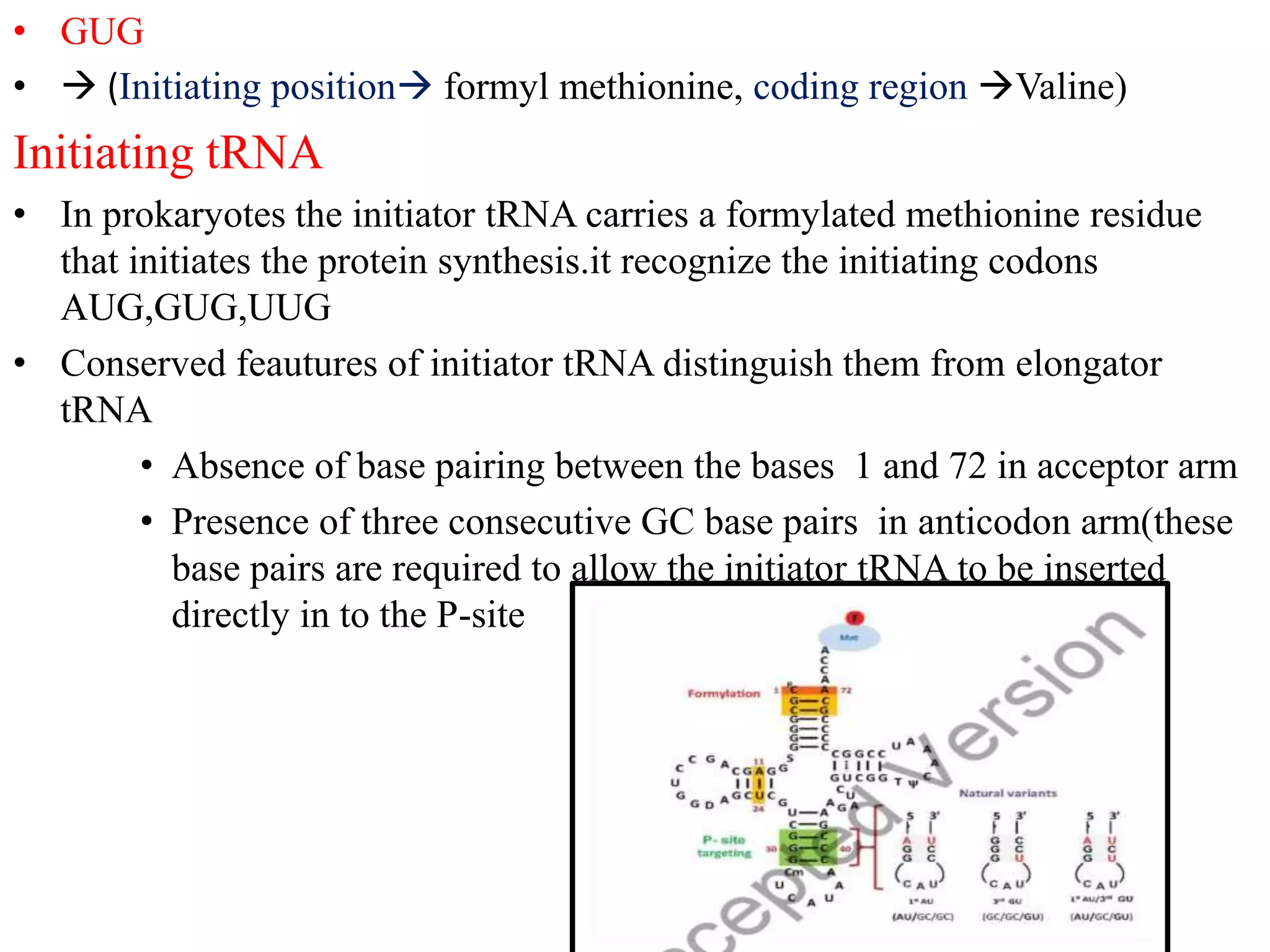 Translation(molecular biology) | PPTX