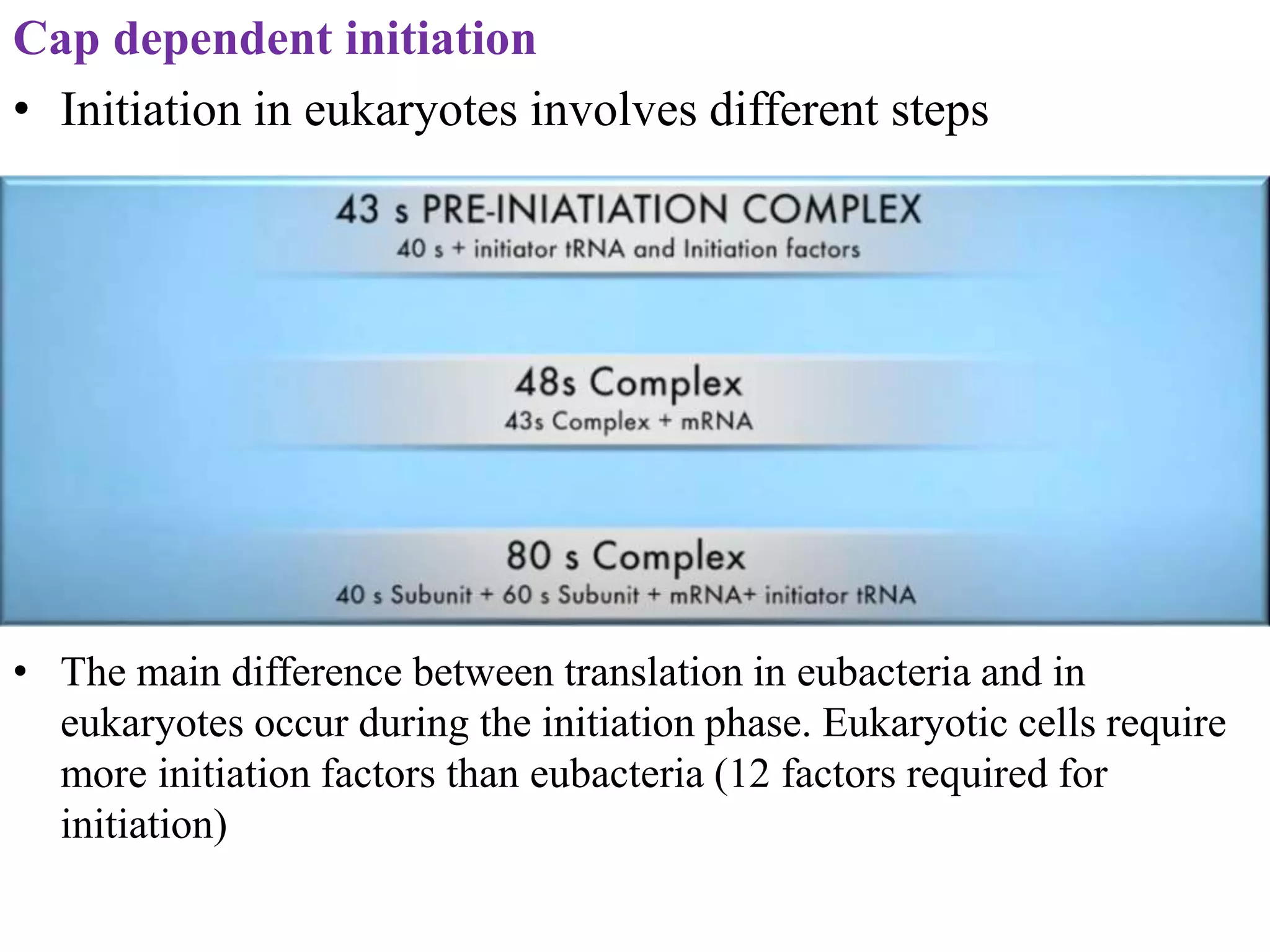 Translation(molecular biology) | PPTX