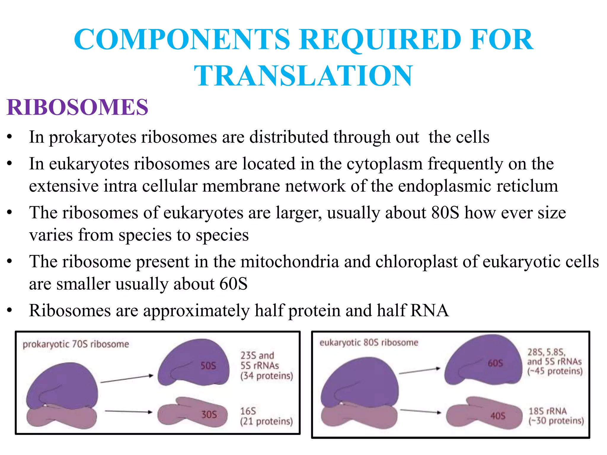 Translation(molecular biology) | PPTX