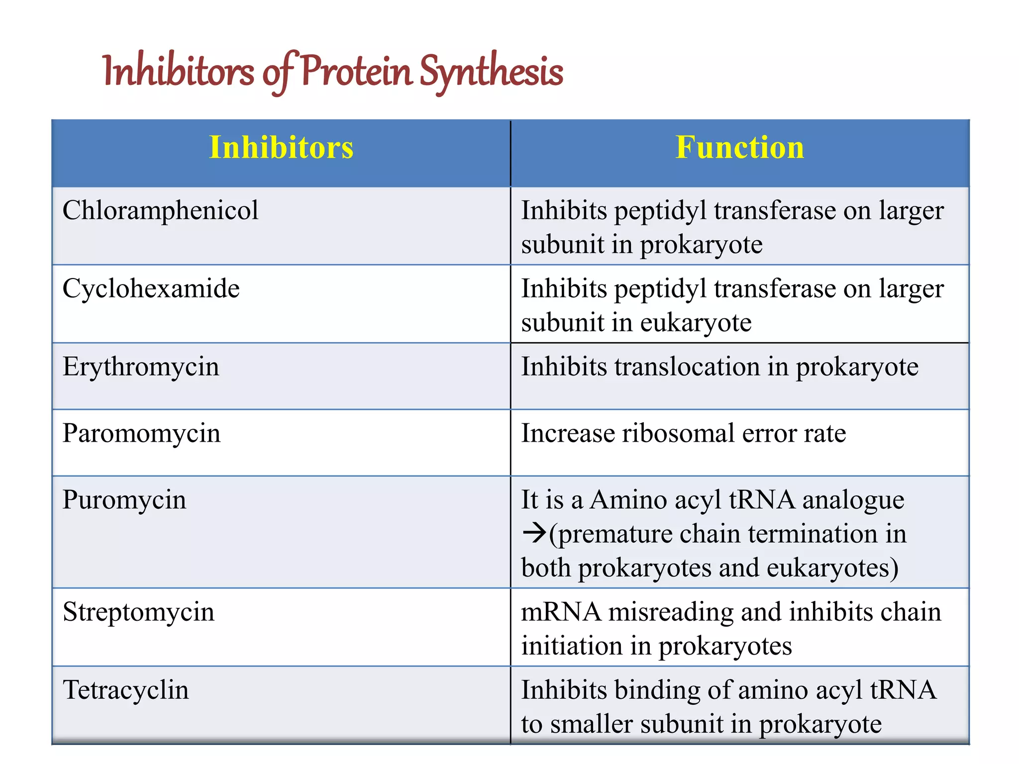 Translation(molecular biology) | PPTX