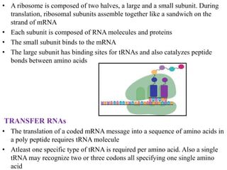 Translation(molecular biology) | PPTX