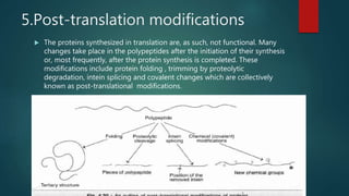 Translation of of mRNA to protein | PPTX