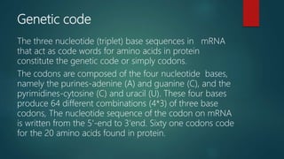 Translation of of mRNA to protein | PPTX