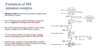 Translation - prokaryotes and eukaryotes | PPTX
