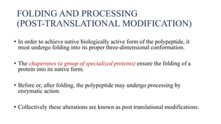 Translation - prokaryotes and eukaryotes | PPTX
