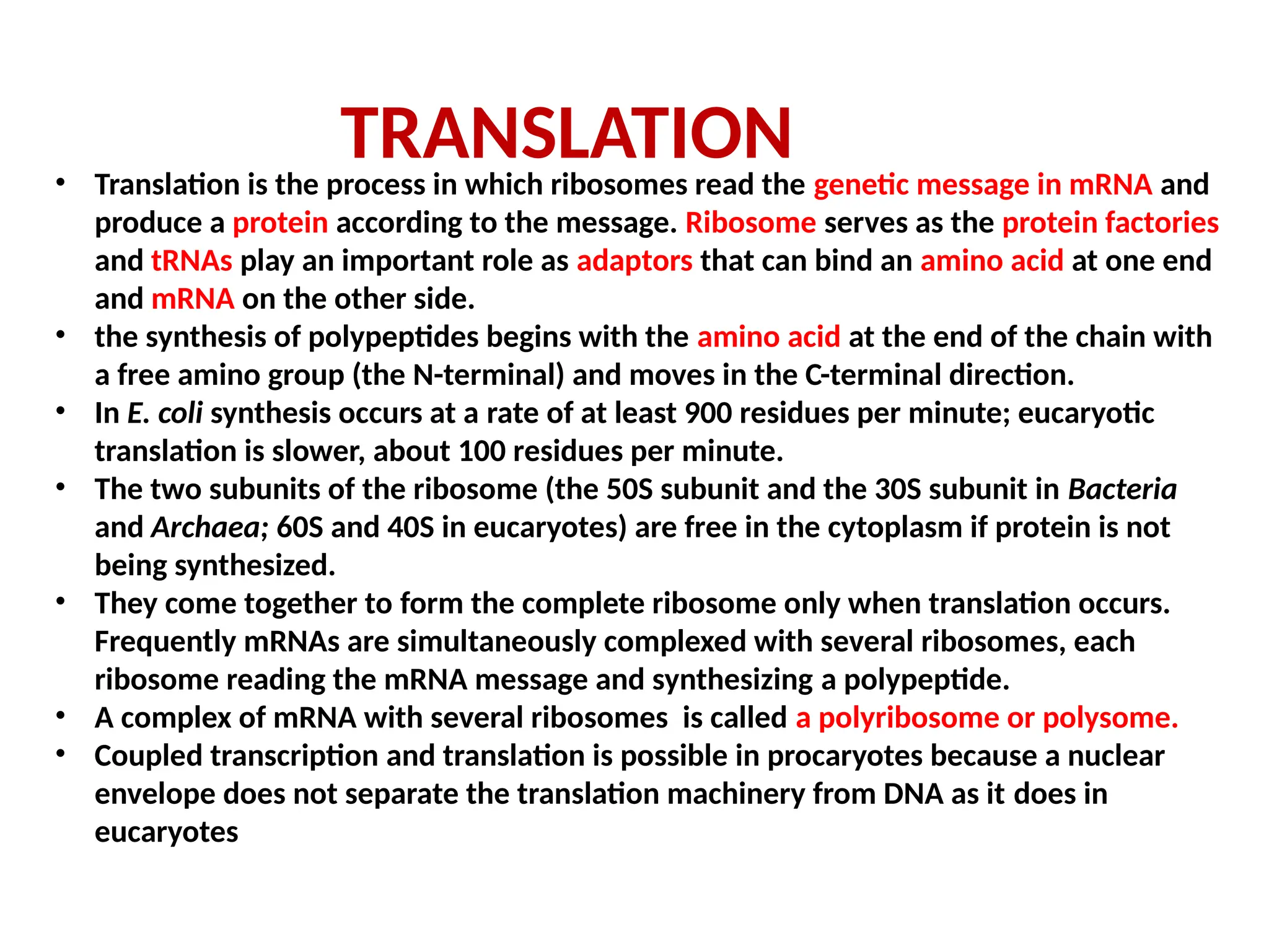 translation in prokaryotes and eukaryotes | PPTX