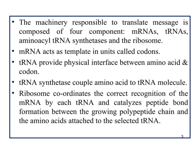 Translation mechanism in prokayote and eukaryote.ppt