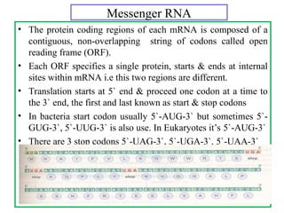 Translation mechanism in prokayote and eukaryote.ppt