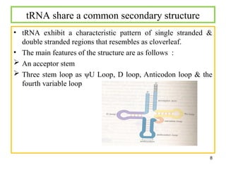 Translation mechanism in prokayote and eukaryote.ppt