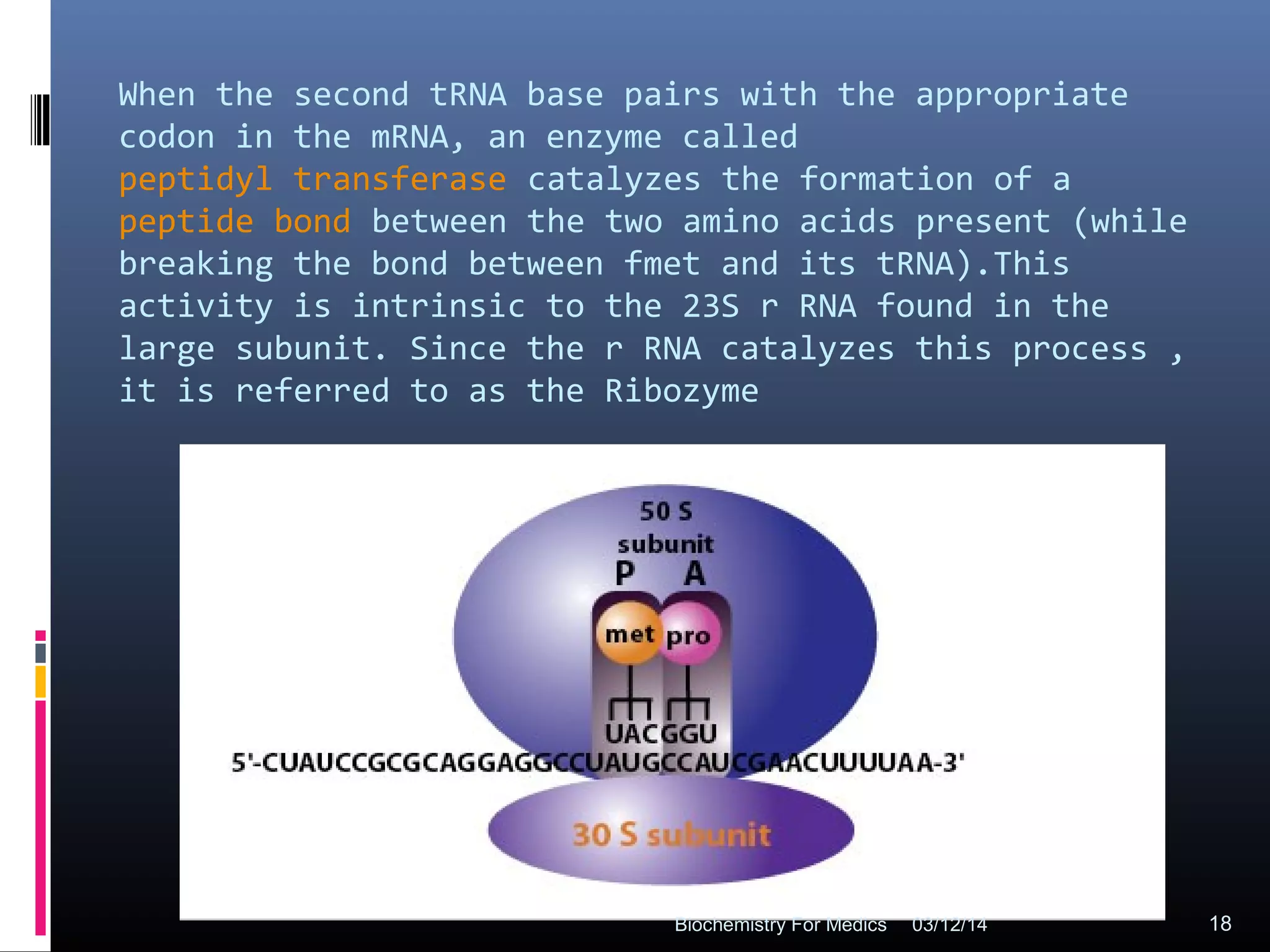 Translation an overview | PPT