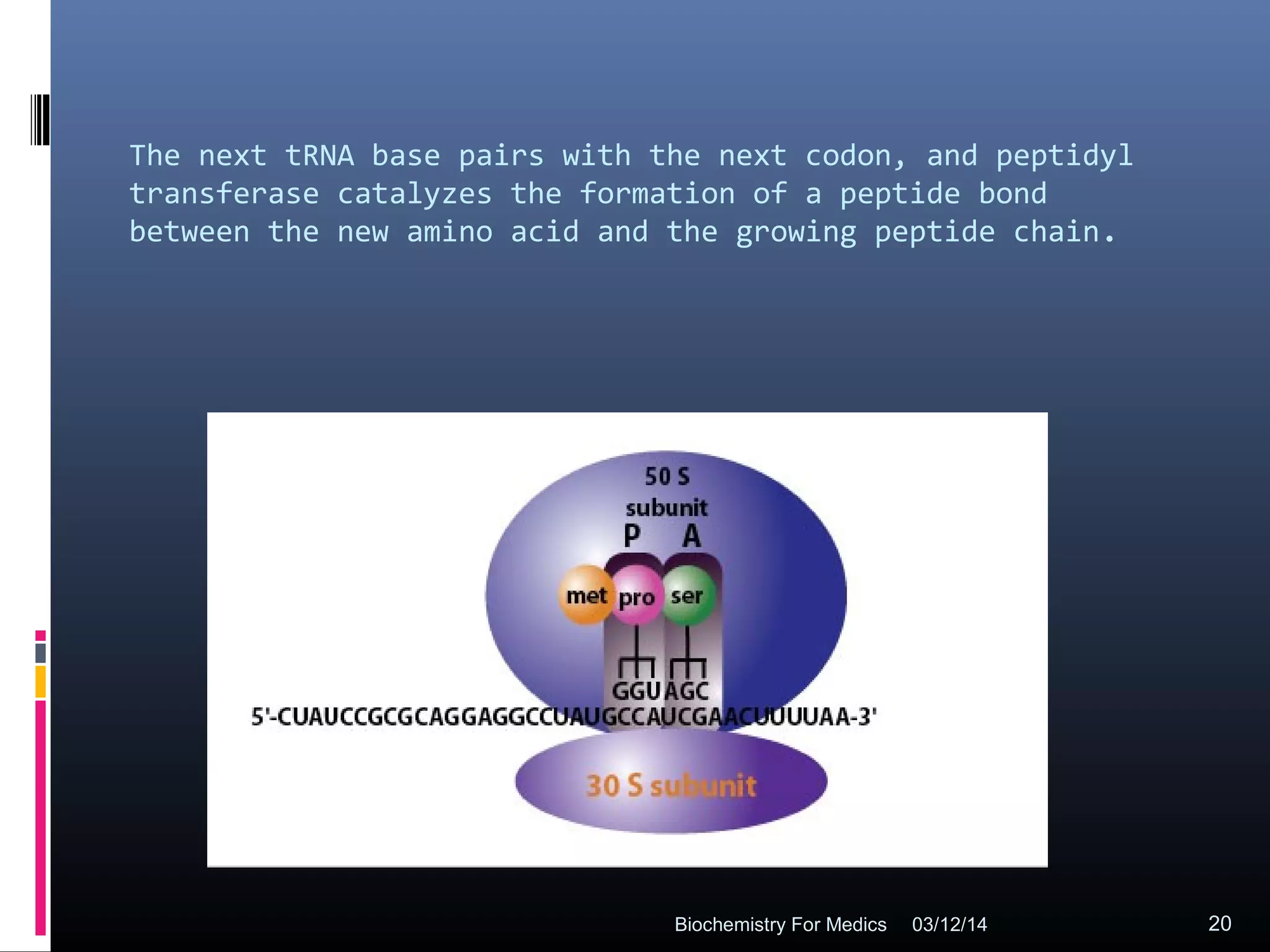 Translation an overview | PPT