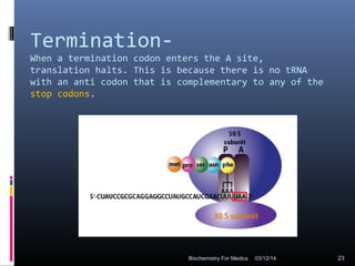 Translation an overview | PPT