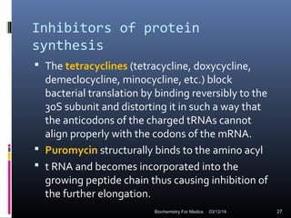 Translation an overview | PPT