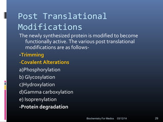 Translation an overview | PPT