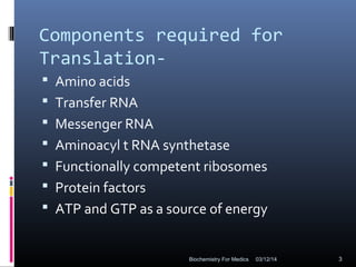 Translation an overview | PPT