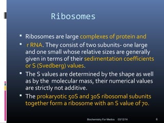 Translation an overview | PPT