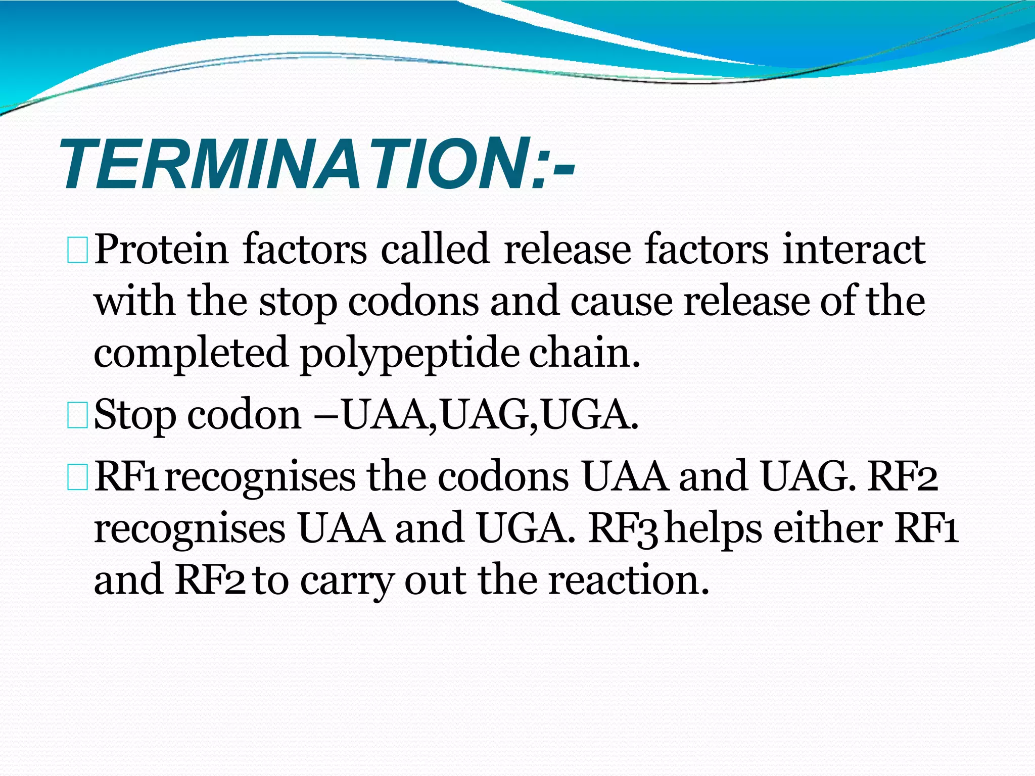translation-protein synthesis.pptx