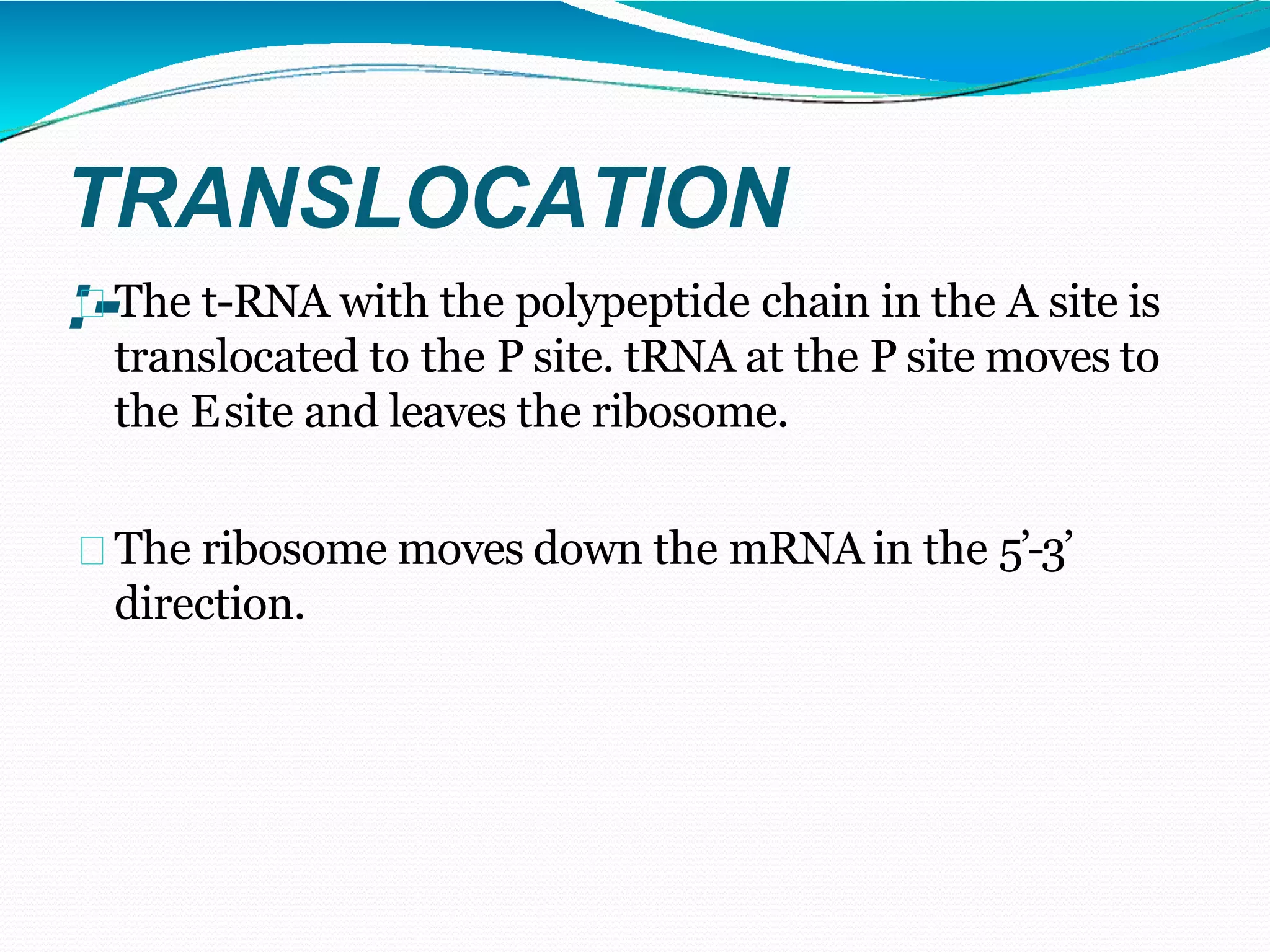 translation-protein synthesis.pptx