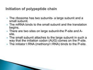 Translation (1) | PPT