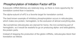 Translational control .pdf