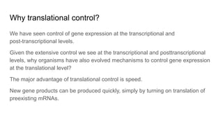 Translational control .pdf